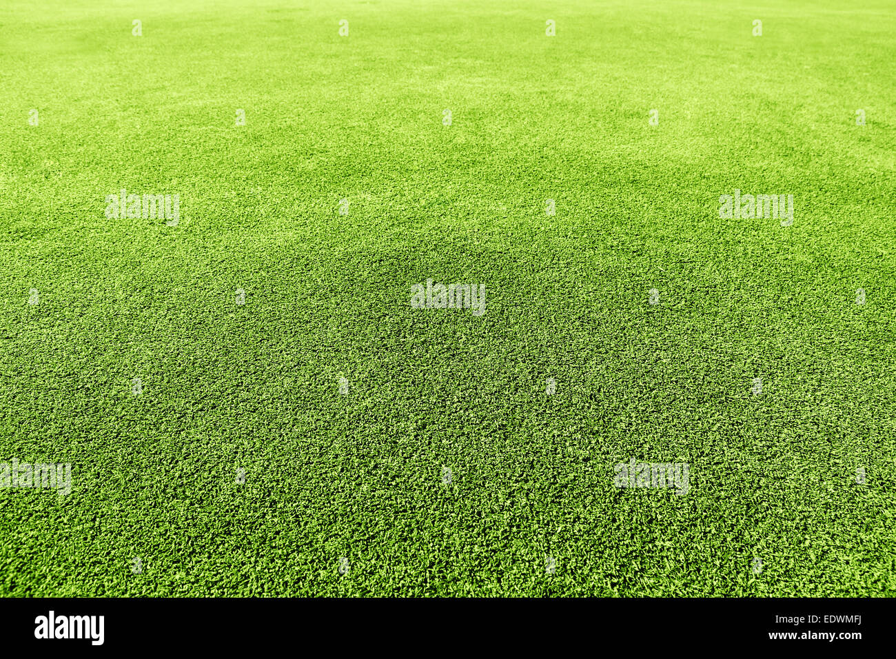 Golf green grass texture close-up Stock Photo - Alamy