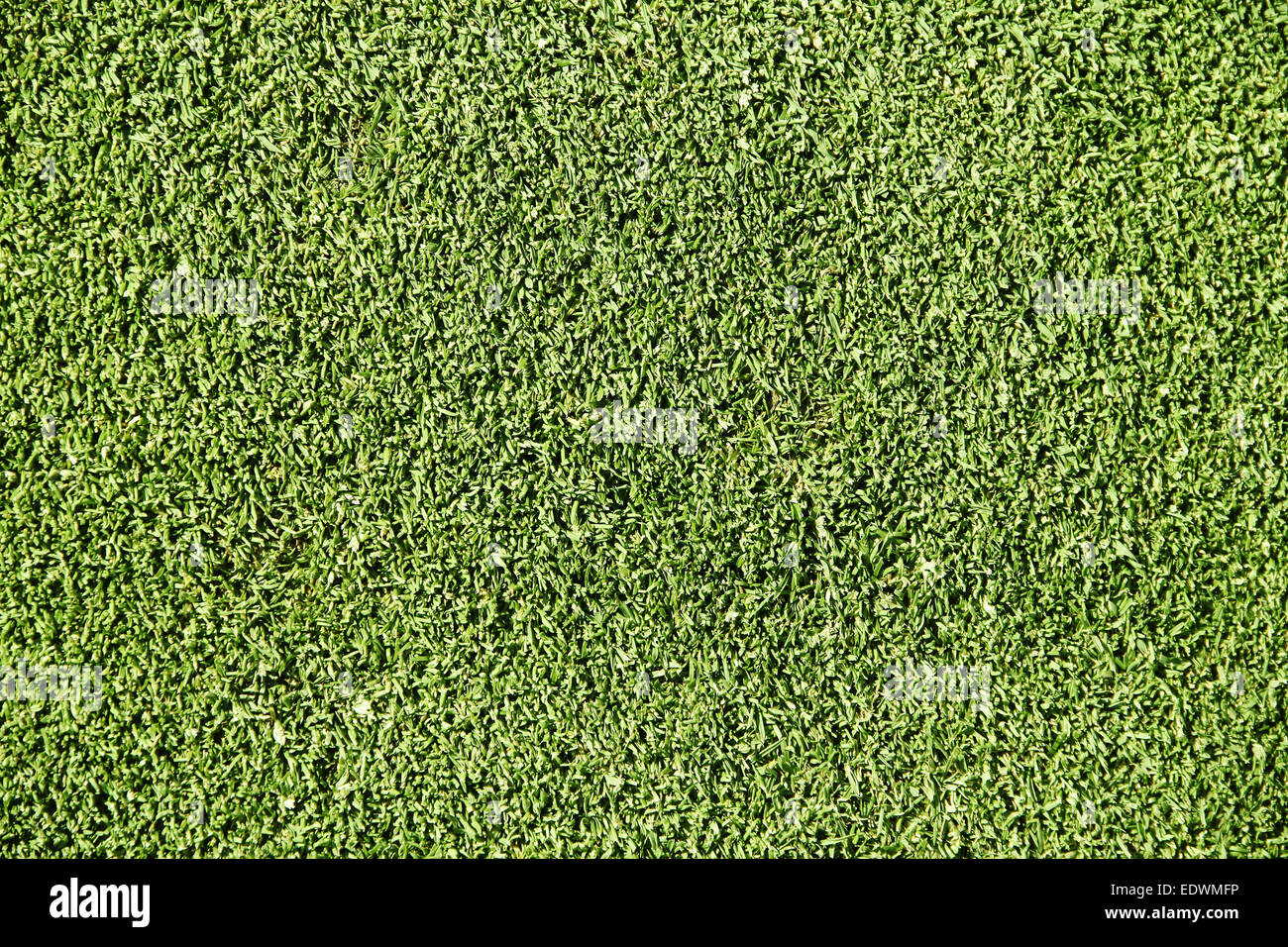 Golf green grass texture close up hi-res stock photography and images ...