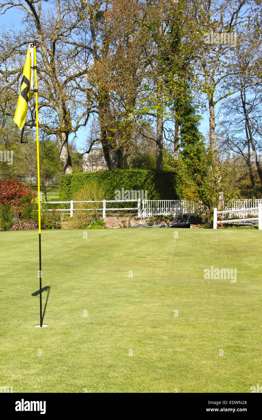 Flag on the golf field and forest on background Stock Photo - Alamy