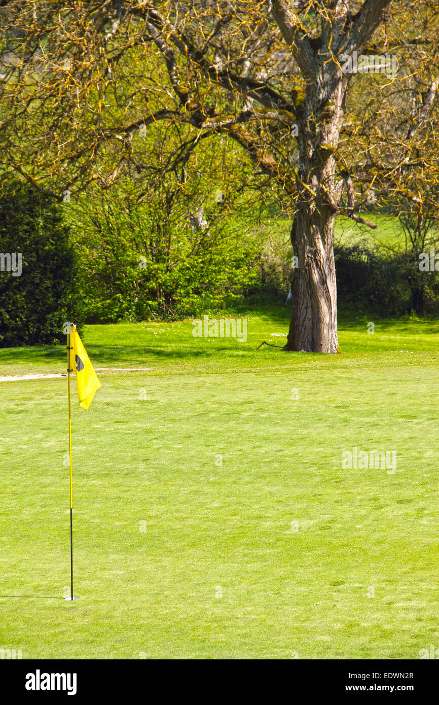 Flag on the golf field and forest on background Stock Photo - Alamy