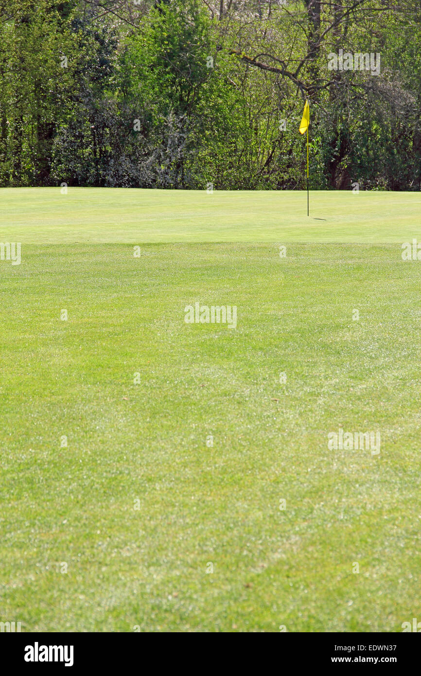 Flag on the golf field and forest on background Stock Photo - Alamy