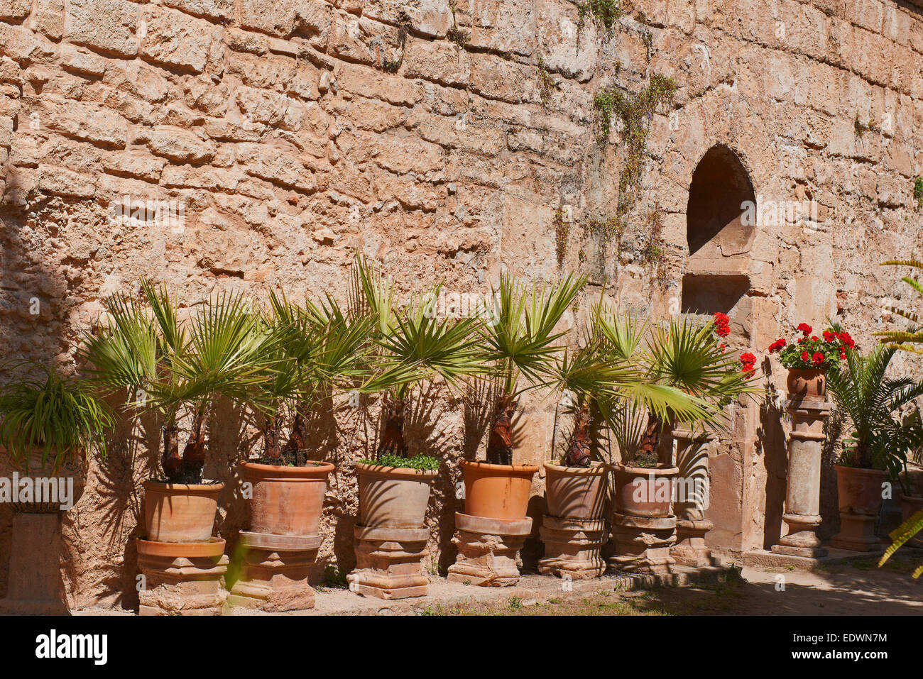Palma de majorca arab hi-res stock photography and images - Alamy