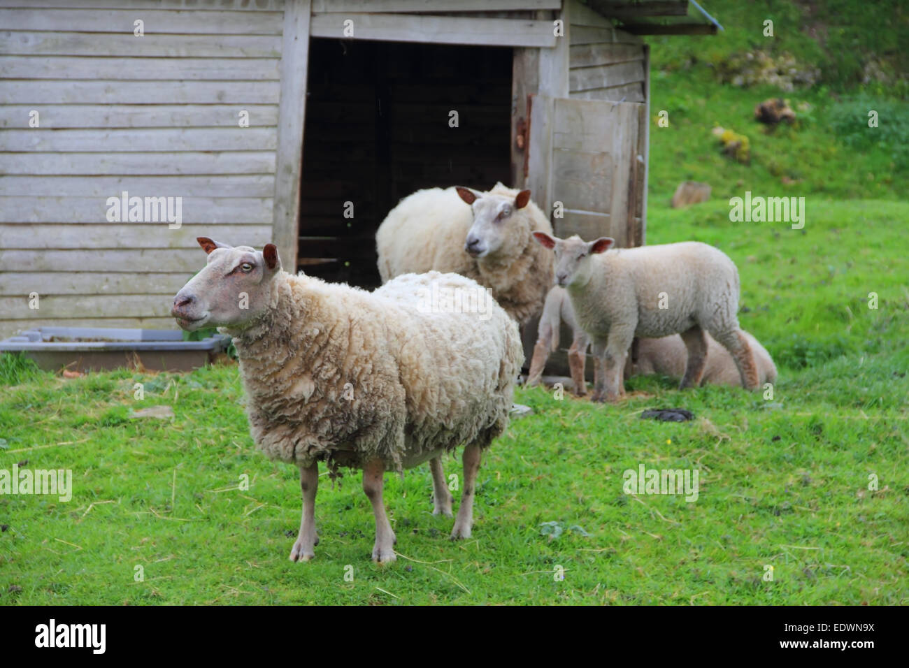 Australian farming family hi-res stock photography and images - Alamy