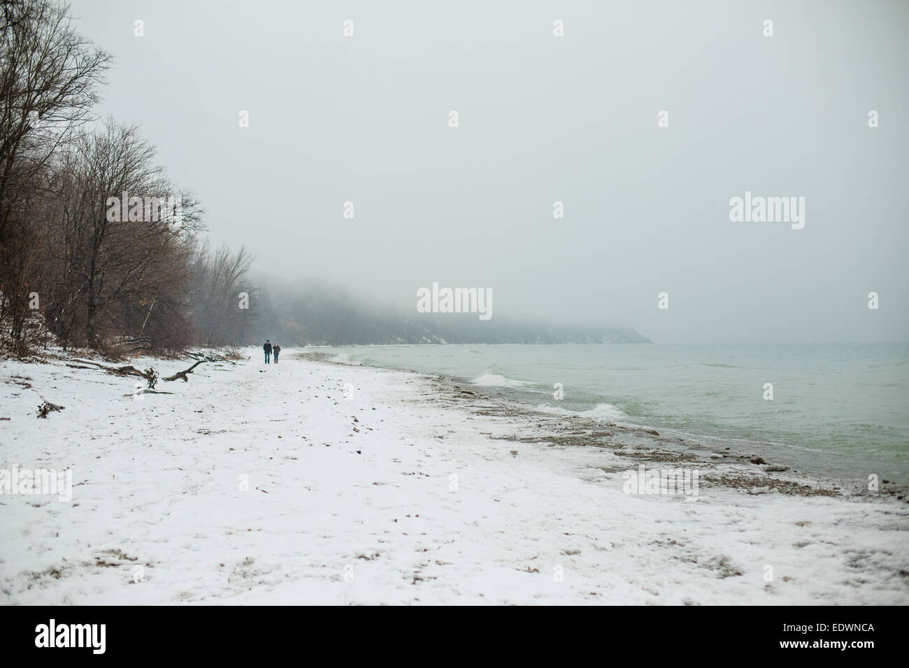 Michigan winter trees landscape hi-res stock photography and images - Alamy