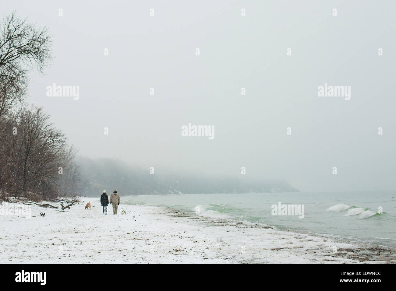 Michigan winter trees landscape hi-res stock photography and images - Alamy