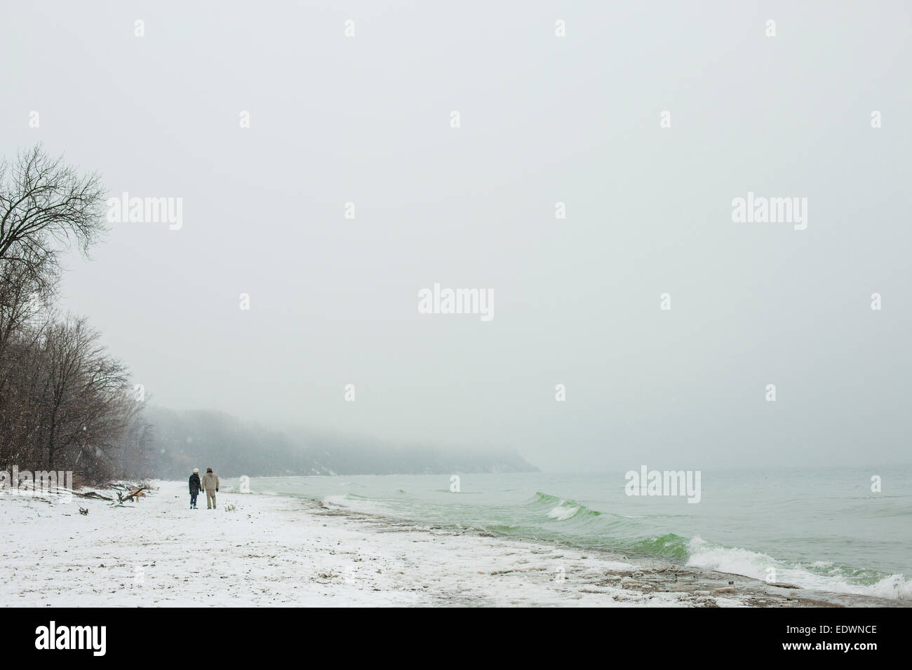 Michigan winter trees landscape hi-res stock photography and images - Alamy