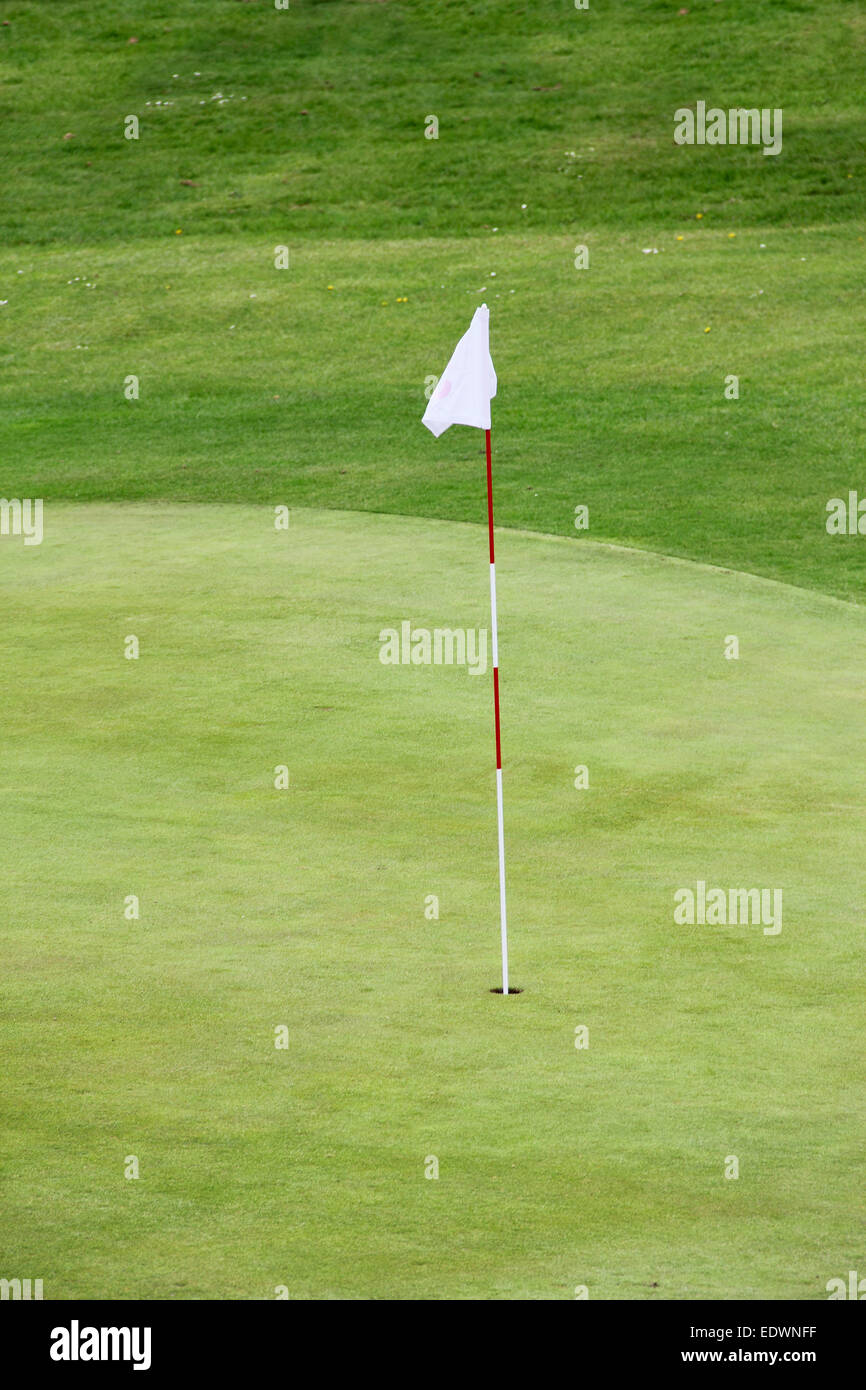 Golf flag on the green grass field close up Stock Photo - Alamy