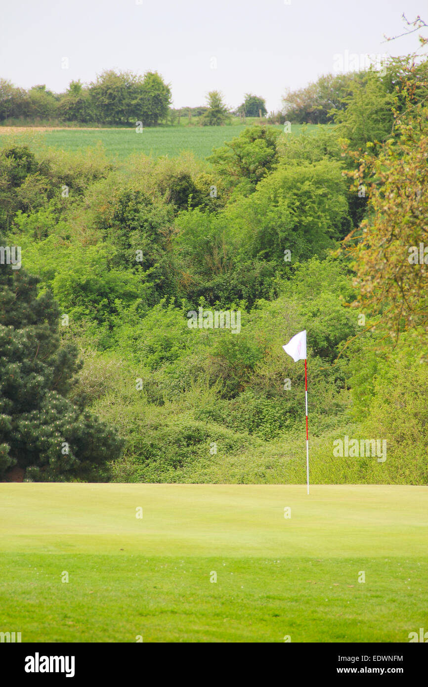 Golf flag on the green grass field close up Stock Photo - Alamy