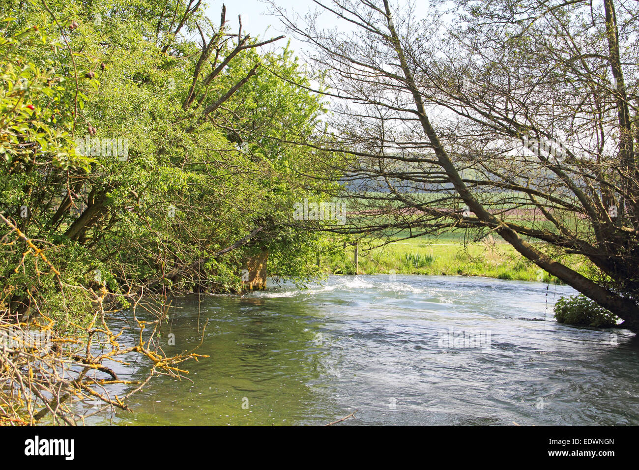 Flowing water small river between hi-res stock photography and images ...