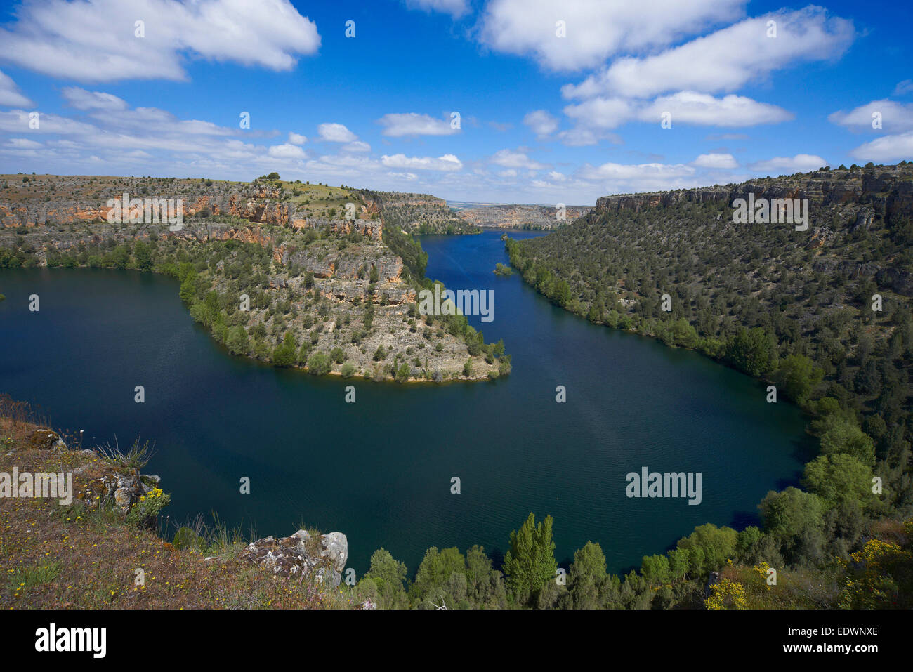 Hoces del Duraton, Duraton river gorges, Sepulveda, Segovia province ...