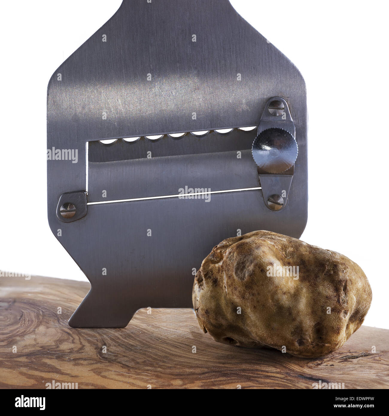 expensive white truffle from Alba and steel slicer Stock Photo - Alamy