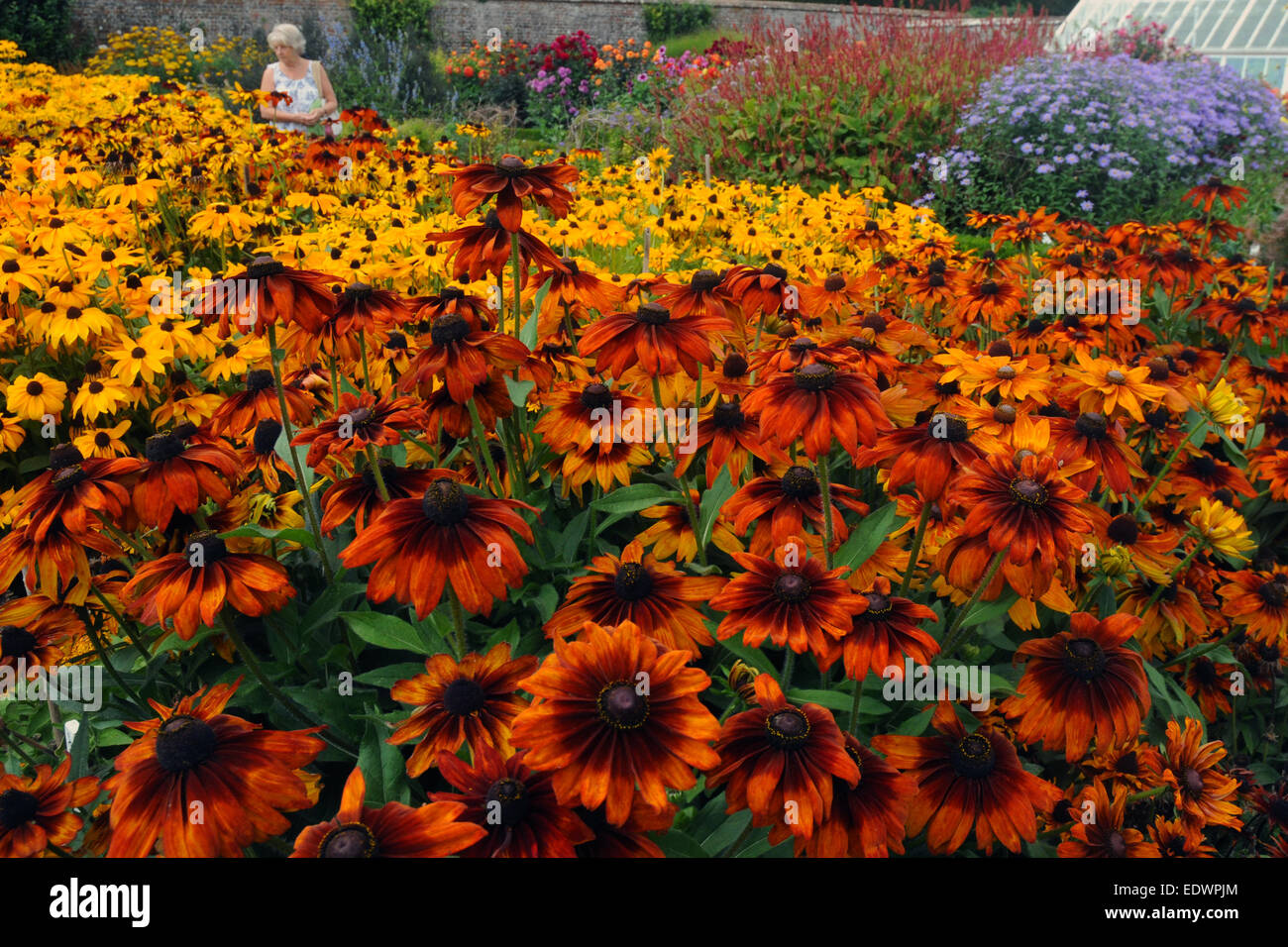 The gardens at West Dean College, West Sussex Stock Photo - Alamy