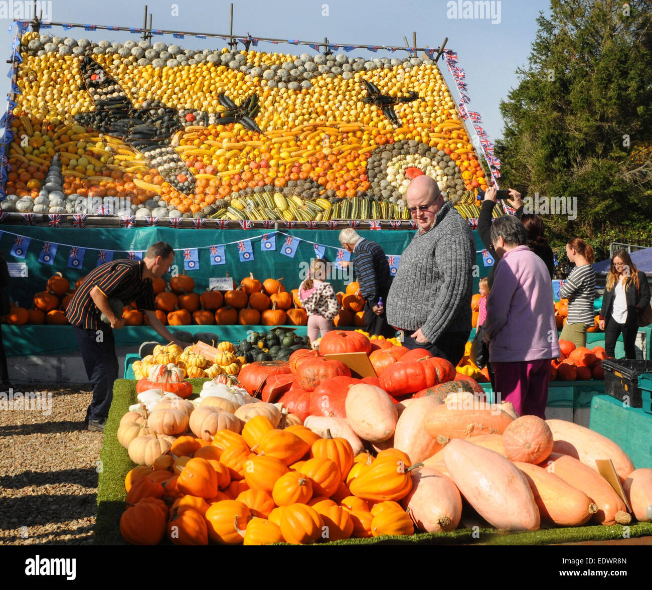 Spitfires fly over West Sussex as visitors to the pumpkin shop at the ...
