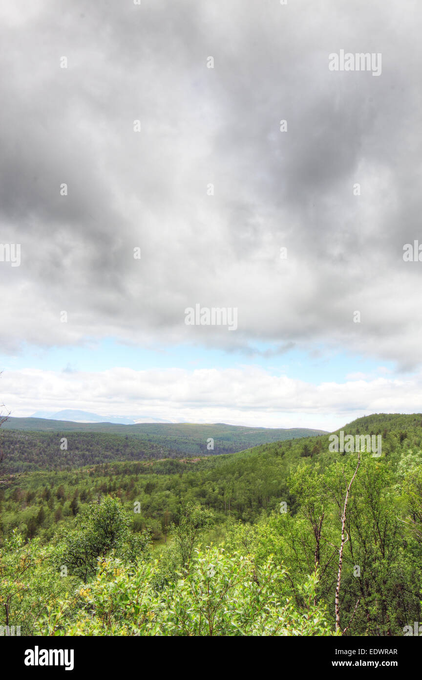 Aerial view forest under clouds hi-res stock photography and images - Alamy