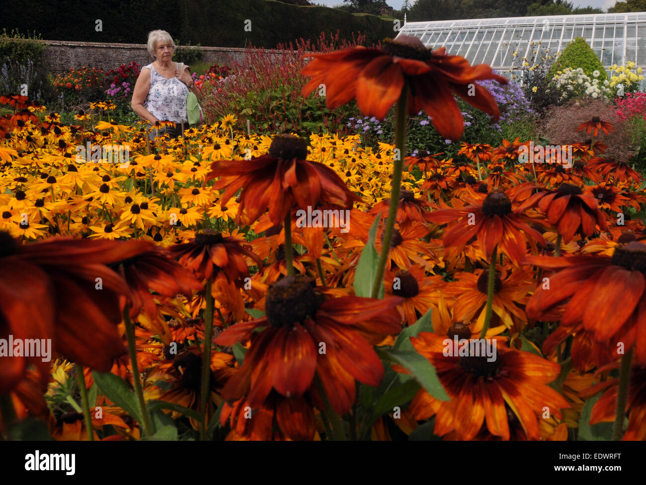 The gardens at West Dean College, West Sussex Stock Photo - Alamy