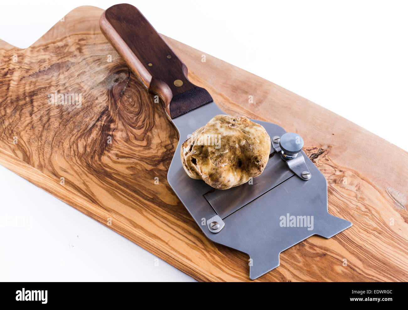 expensive white truffle from Alba and steel slicer Stock Photo - Alamy