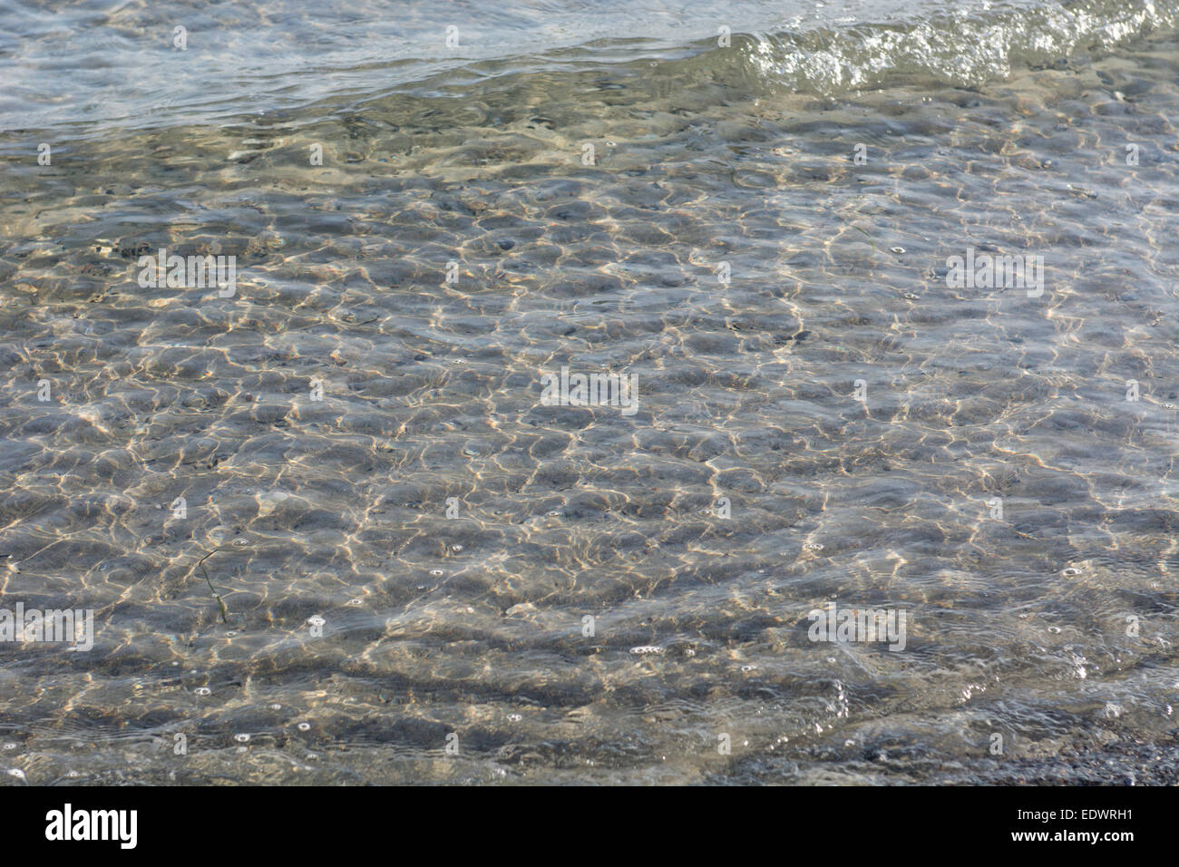 Clear transparent shallow water background with ripples as seen on the ...