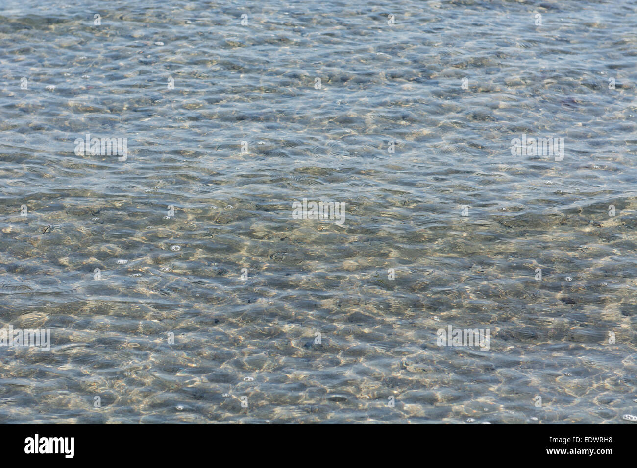 Clear transparent shallow water background with ripples as seen on the ...