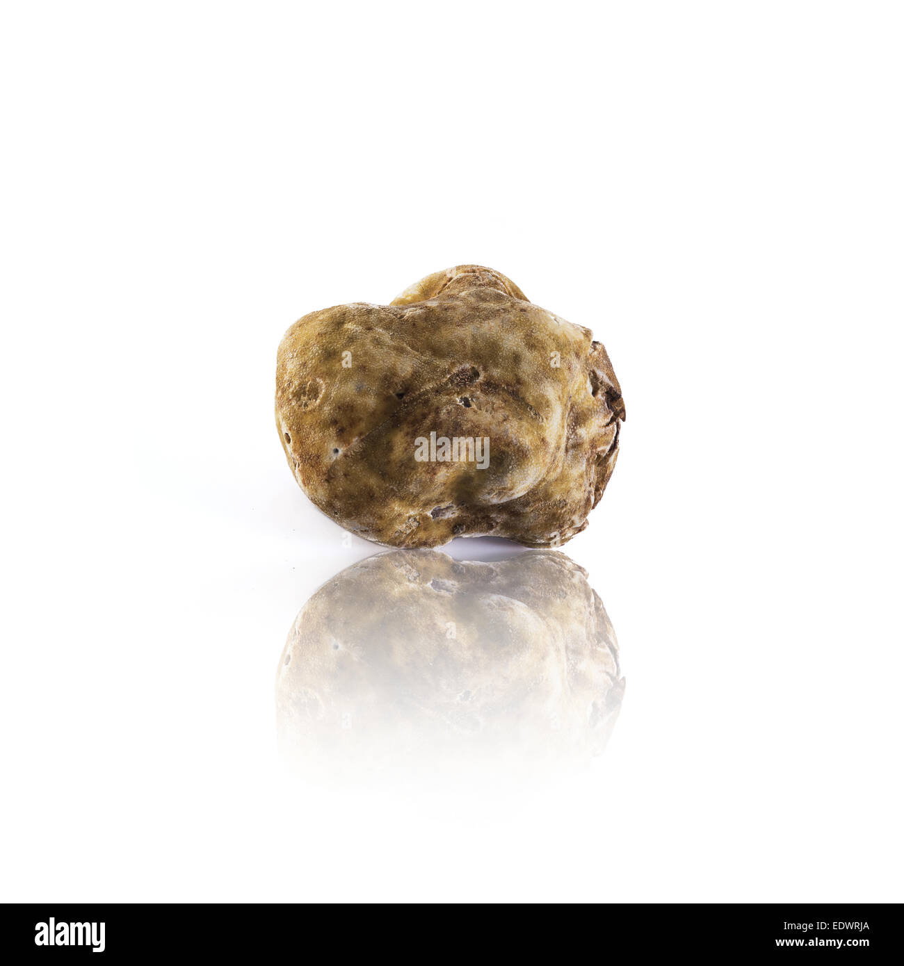 Alba italy truffle Cut Out Stock Images & Pictures - Alamy