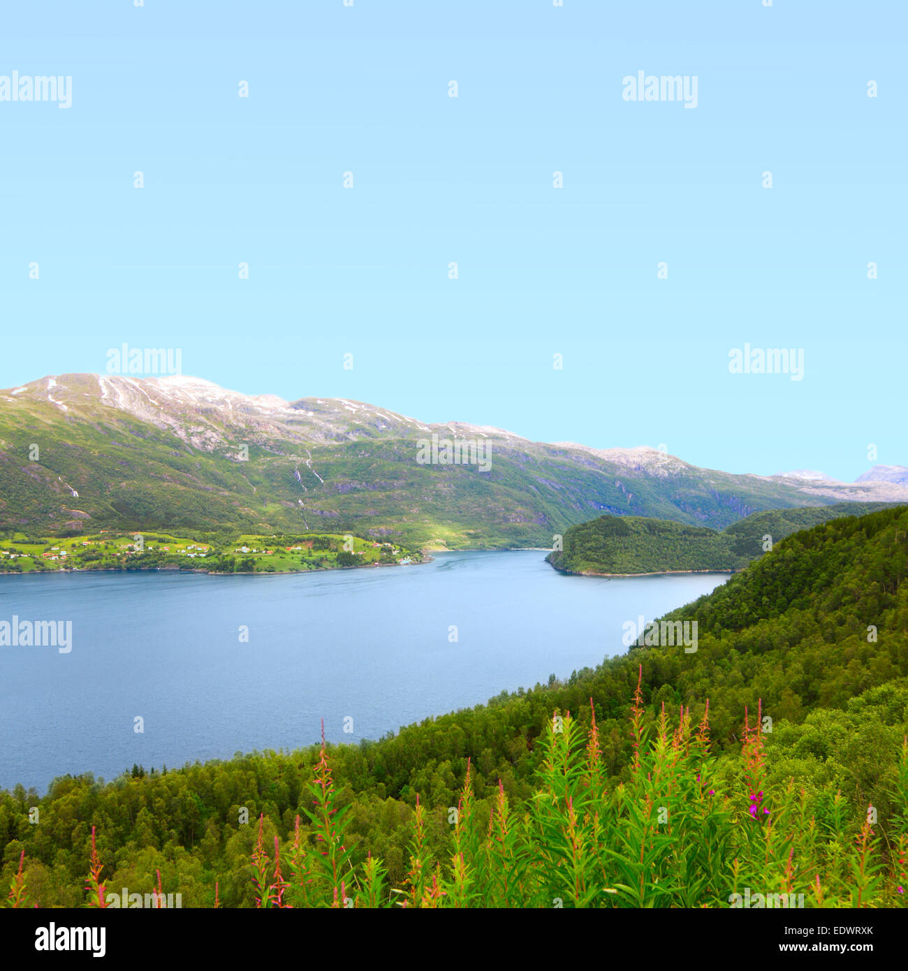 Northern Norway landscape with fjord, mountains and forest Stock Photo ...