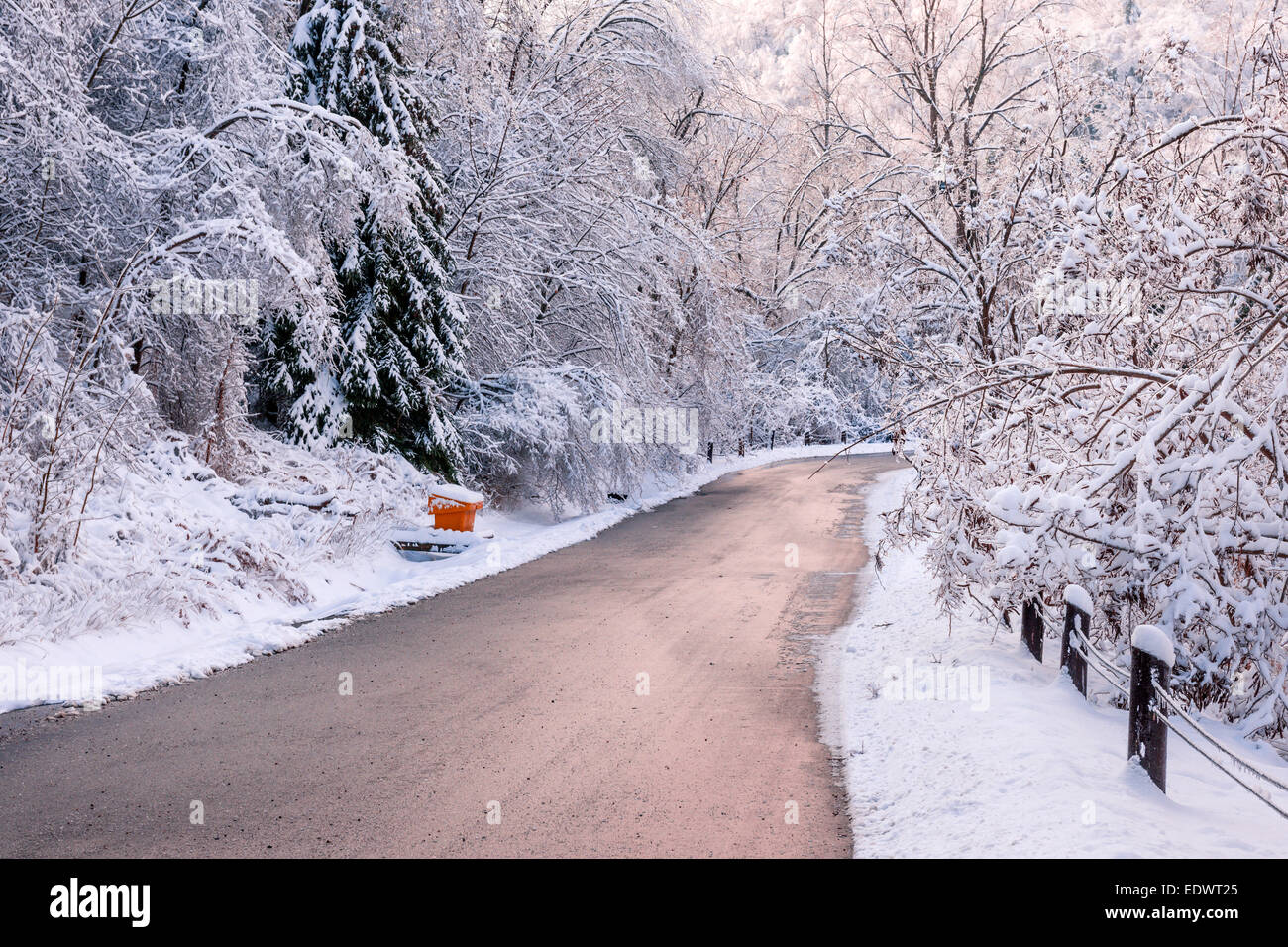 Winter road through icy forest covered in snow after ice storm and ...