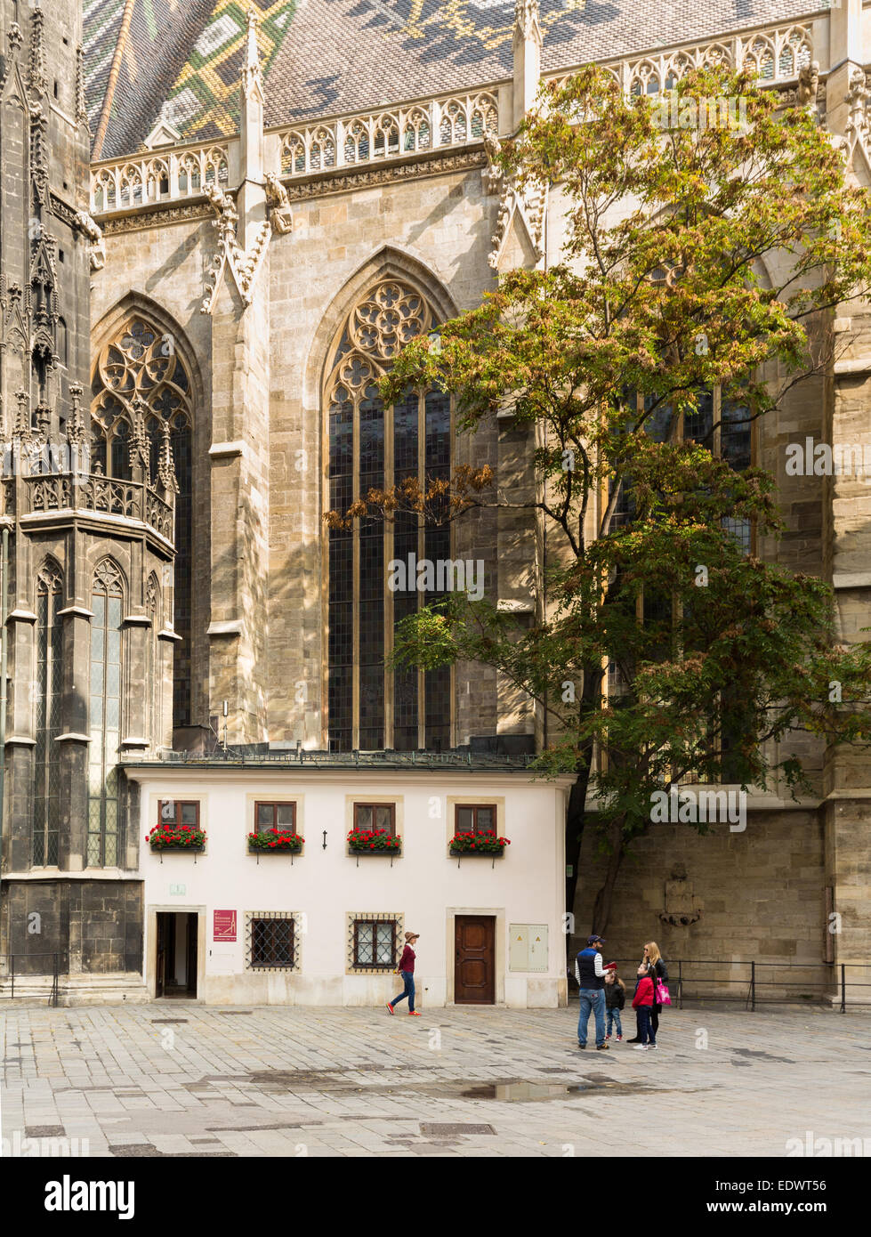 Side view of St Stephens Cathedral with small home and tree in old town ...