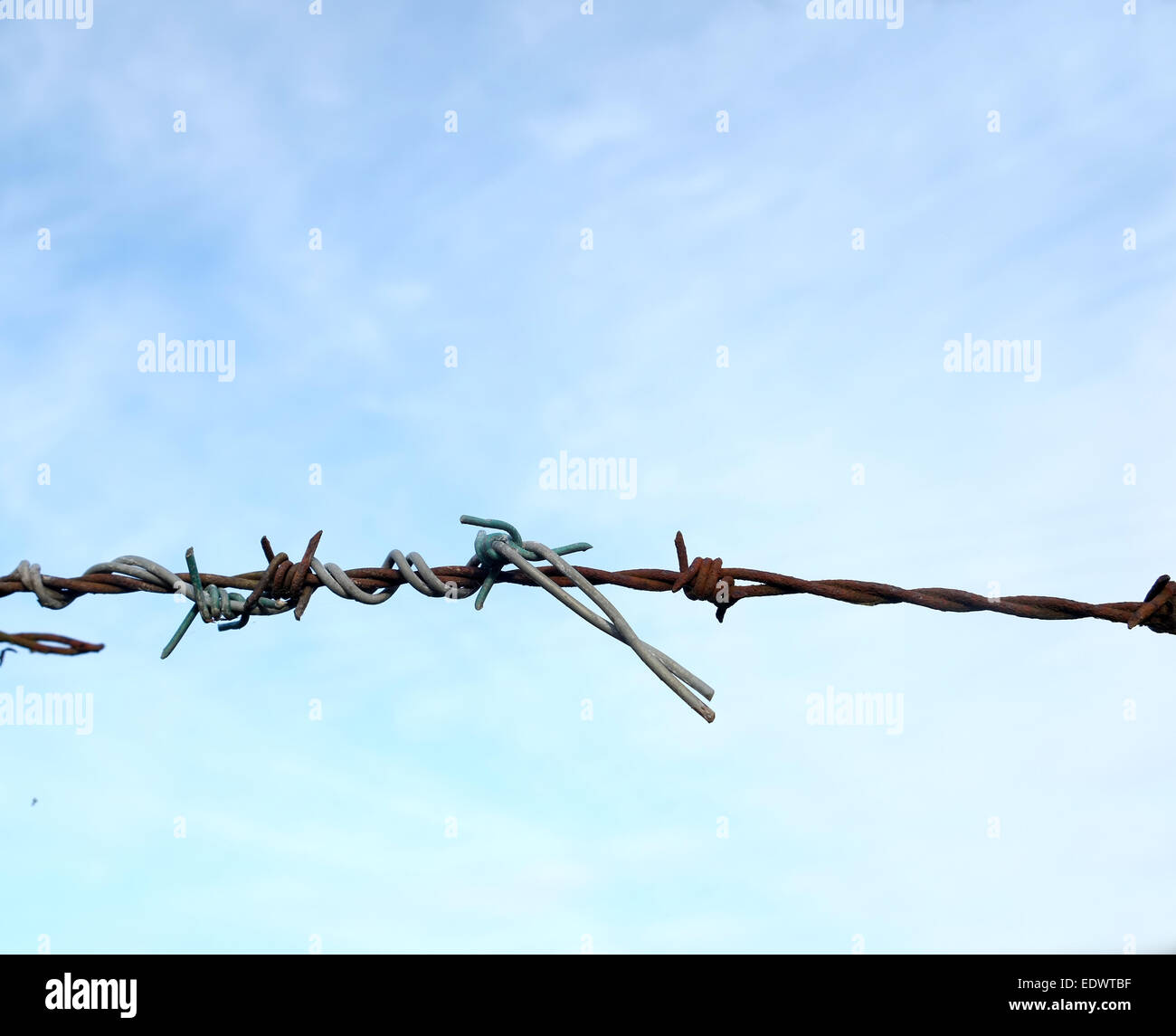 Symbolic old and new barbed wire to show the continuation of a war or ...