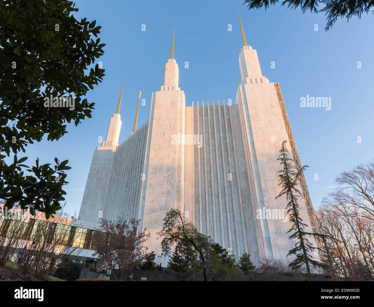 Winter holiday view of Washington DC Temple or Church of Jesus Christ ...