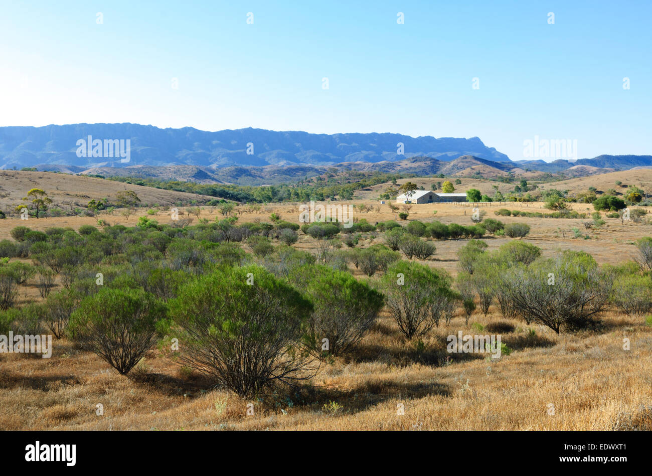 Flinders Ranges, South Australia Stock Photo - Alamy