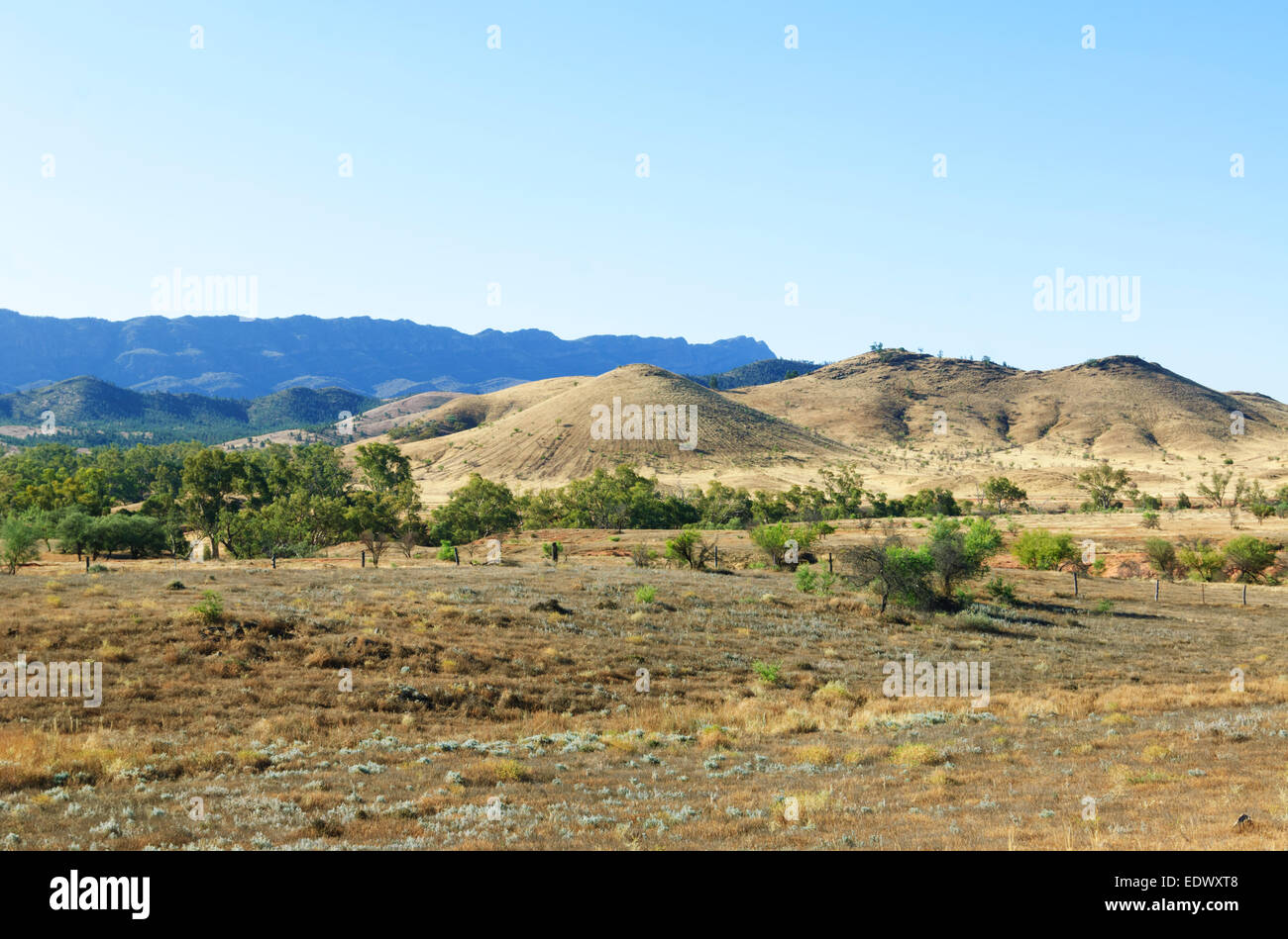 Flinders Ranges, South Australia, SA, Australia Stock Photo - Alamy