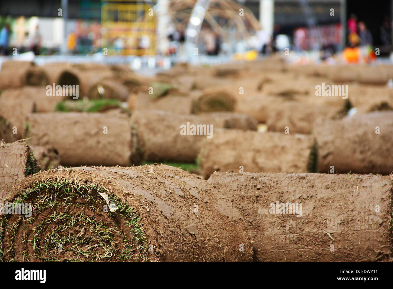 Turf grass rolls partially unrolled close up Stock Photo - Alamy