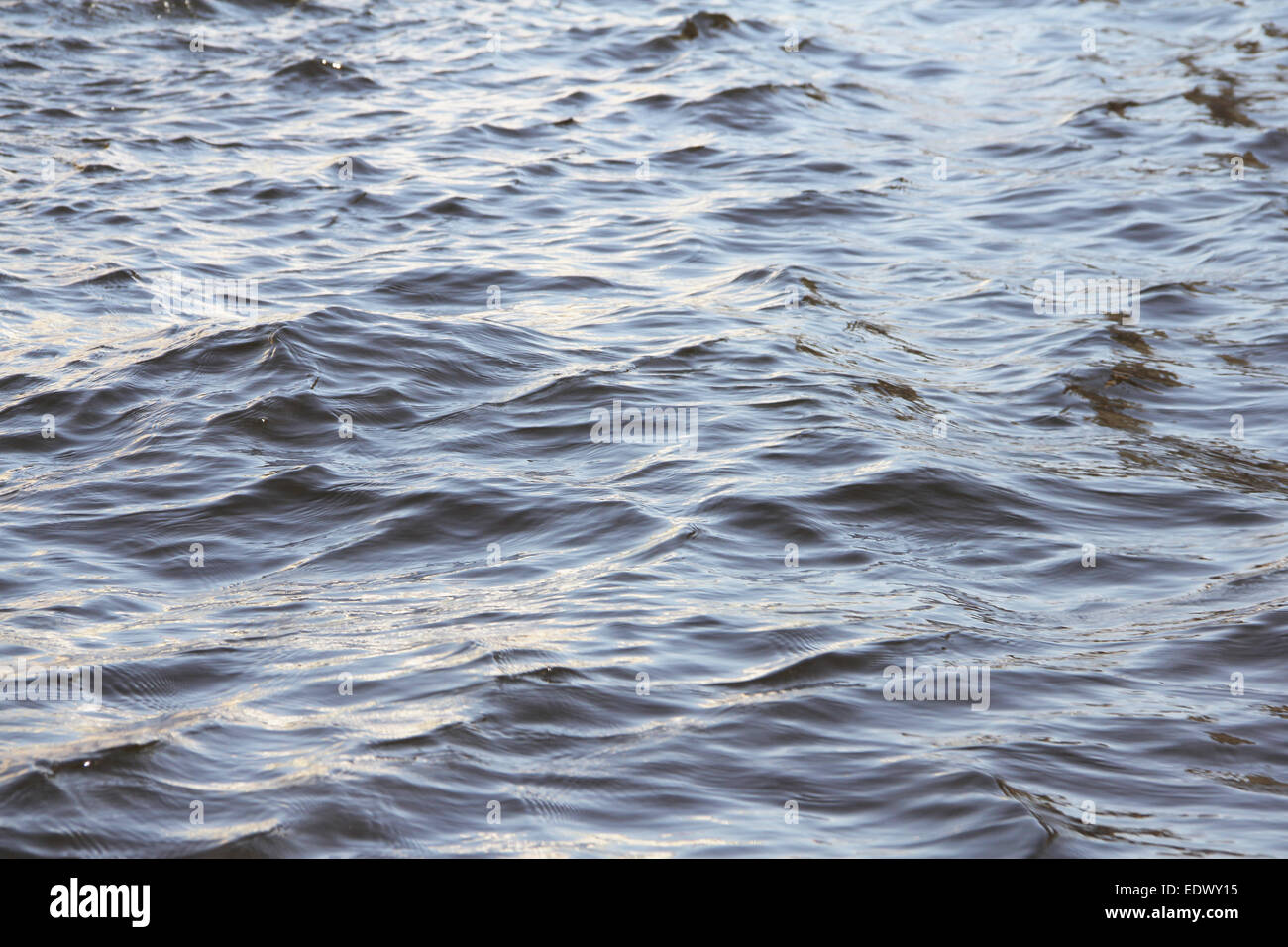 Ripple on the surface of the water close-up Stock Photo - Alamy