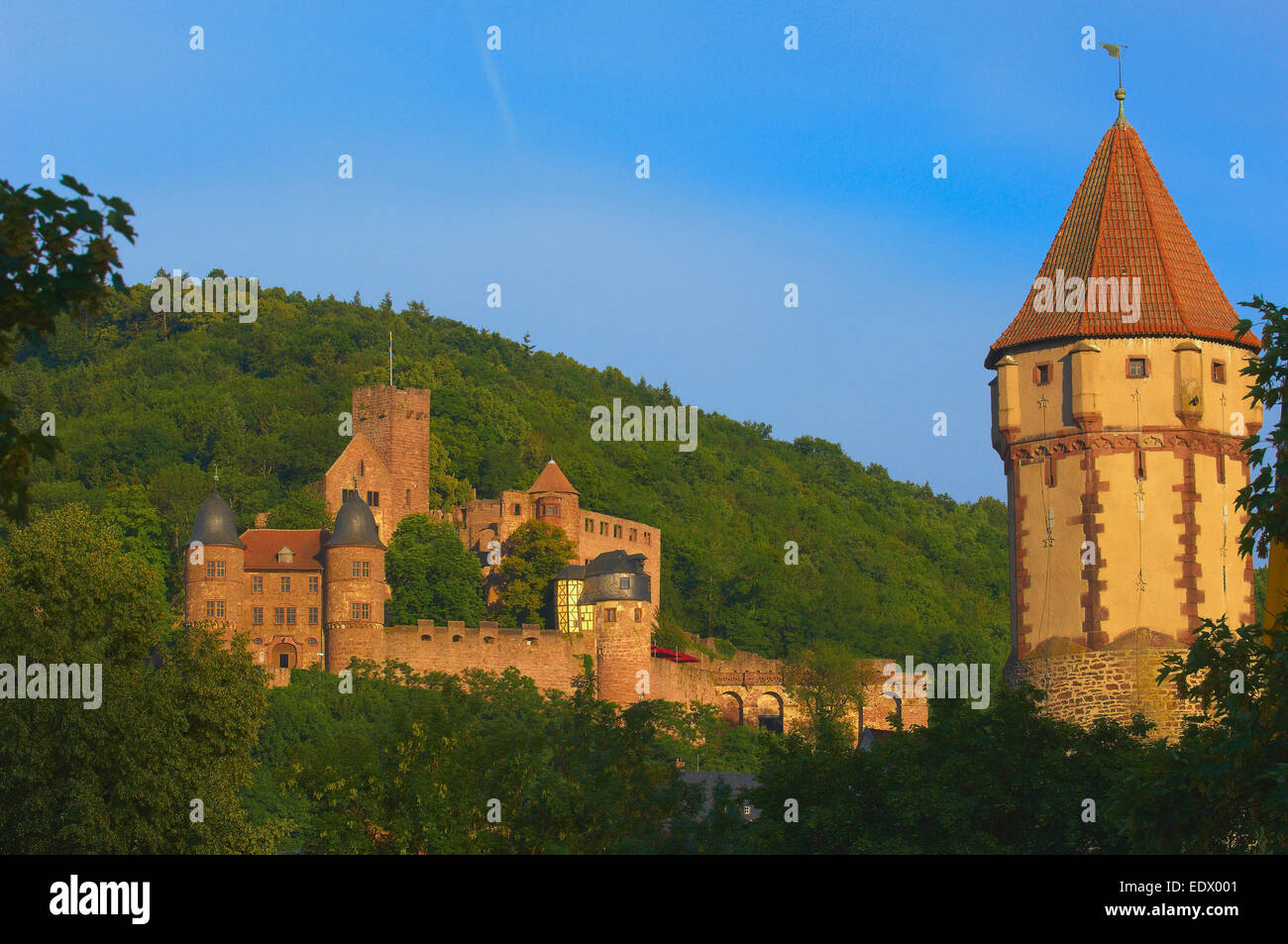 Wertheim Baden Wuerttemberg Wertheim Castle High Resolution Stock ...