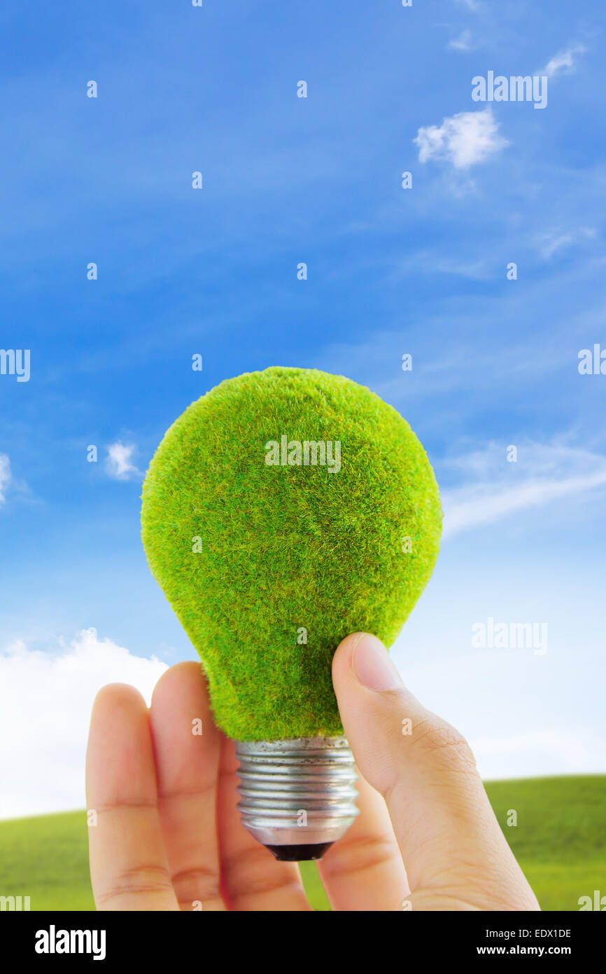 hand holding eco light bulb energy concept Stock Photo - Alamy