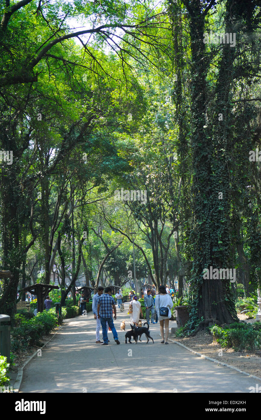 Parque Mexico (Mexico Park) in the La Condesa neighborhood of Mexico ...