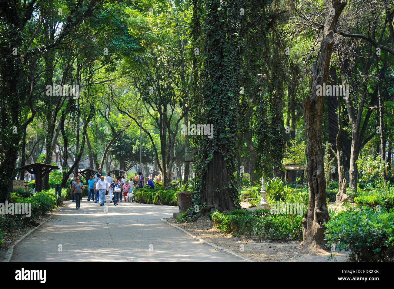 Parque Mexico (Mexico Park) in the La Condesa neighborhood of Mexico ...