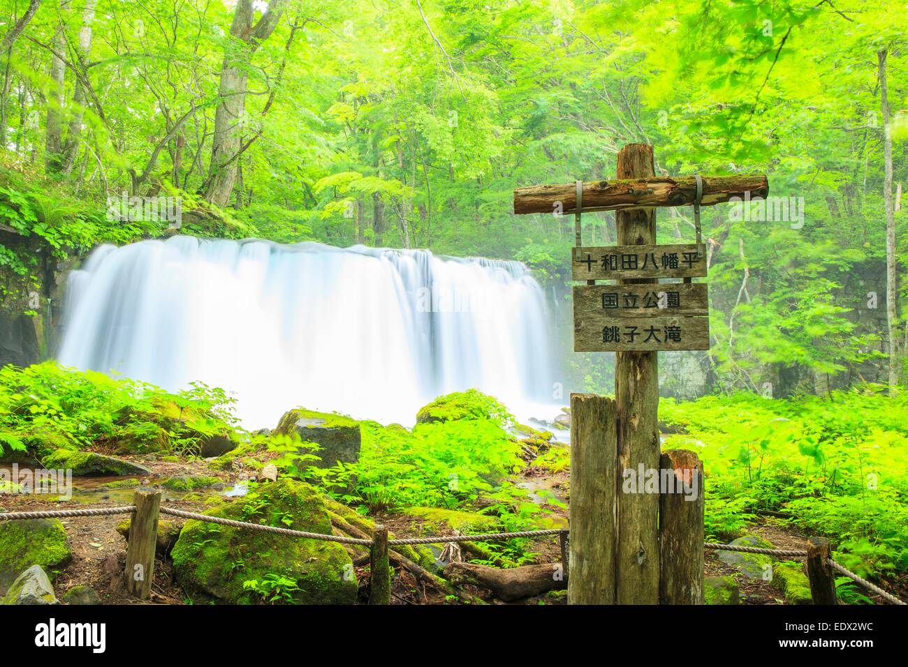 Oirase Valley High Resolution Stock Photography and Images - Alamy