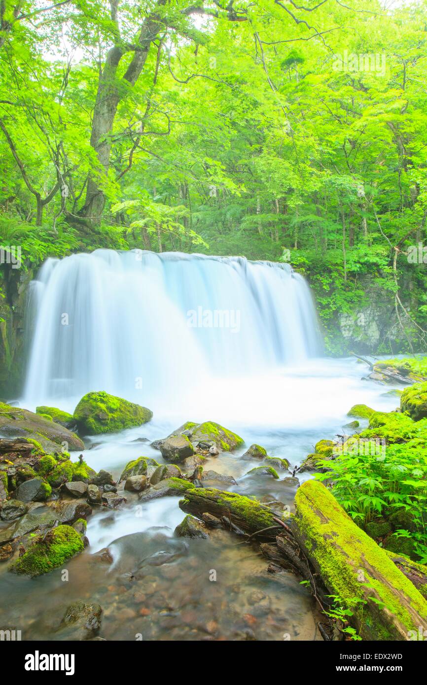 Oirase Valley High Resolution Stock Photography and Images - Alamy