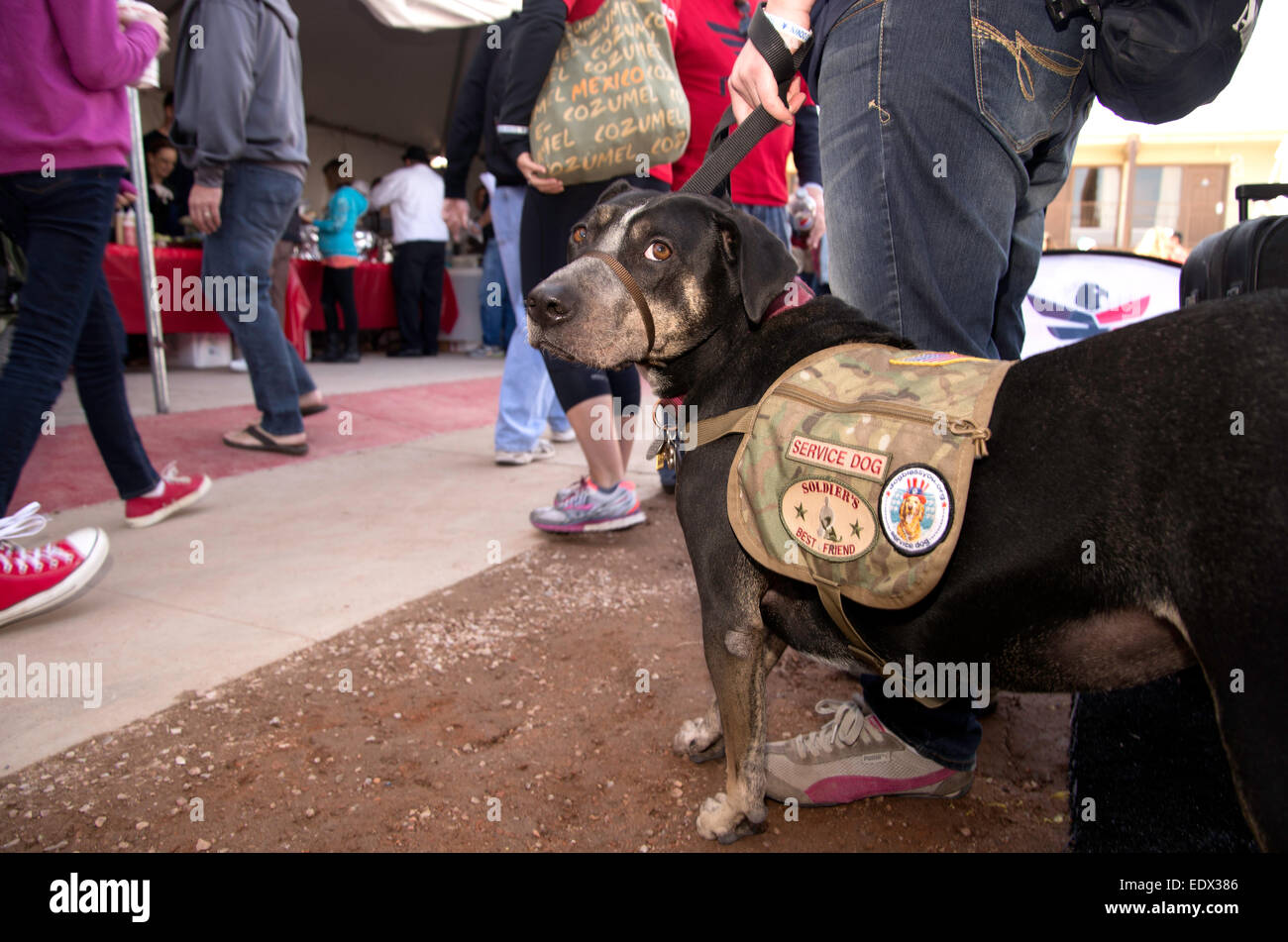Homeless veterans stand down hi-res stock photography and images - Alamy