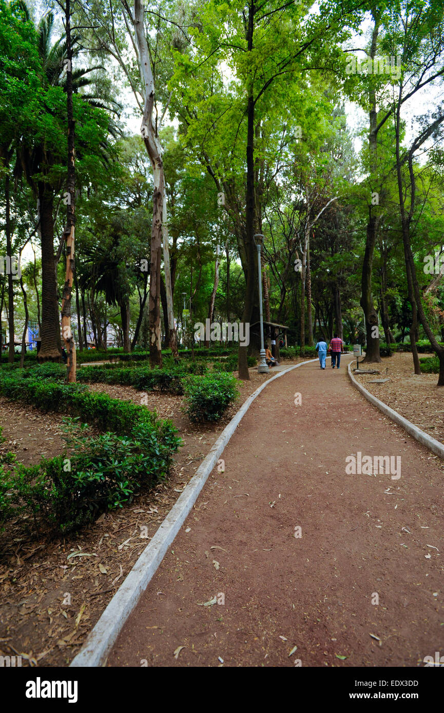 Parque Mexico (Mexico Park) in the Condesa and Roma neighborhood of ...