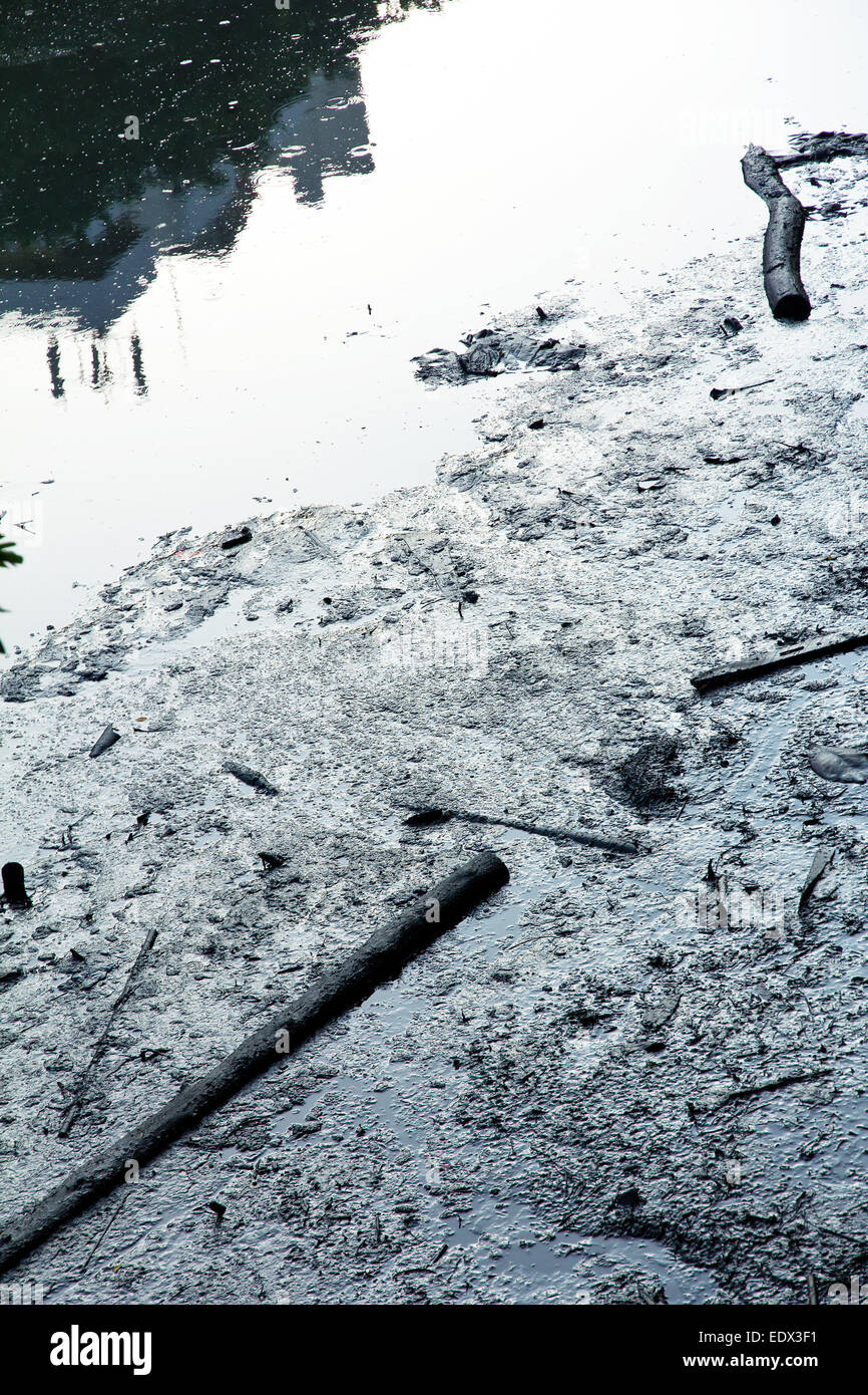 Excremental hi-res stock photography and images - Alamy