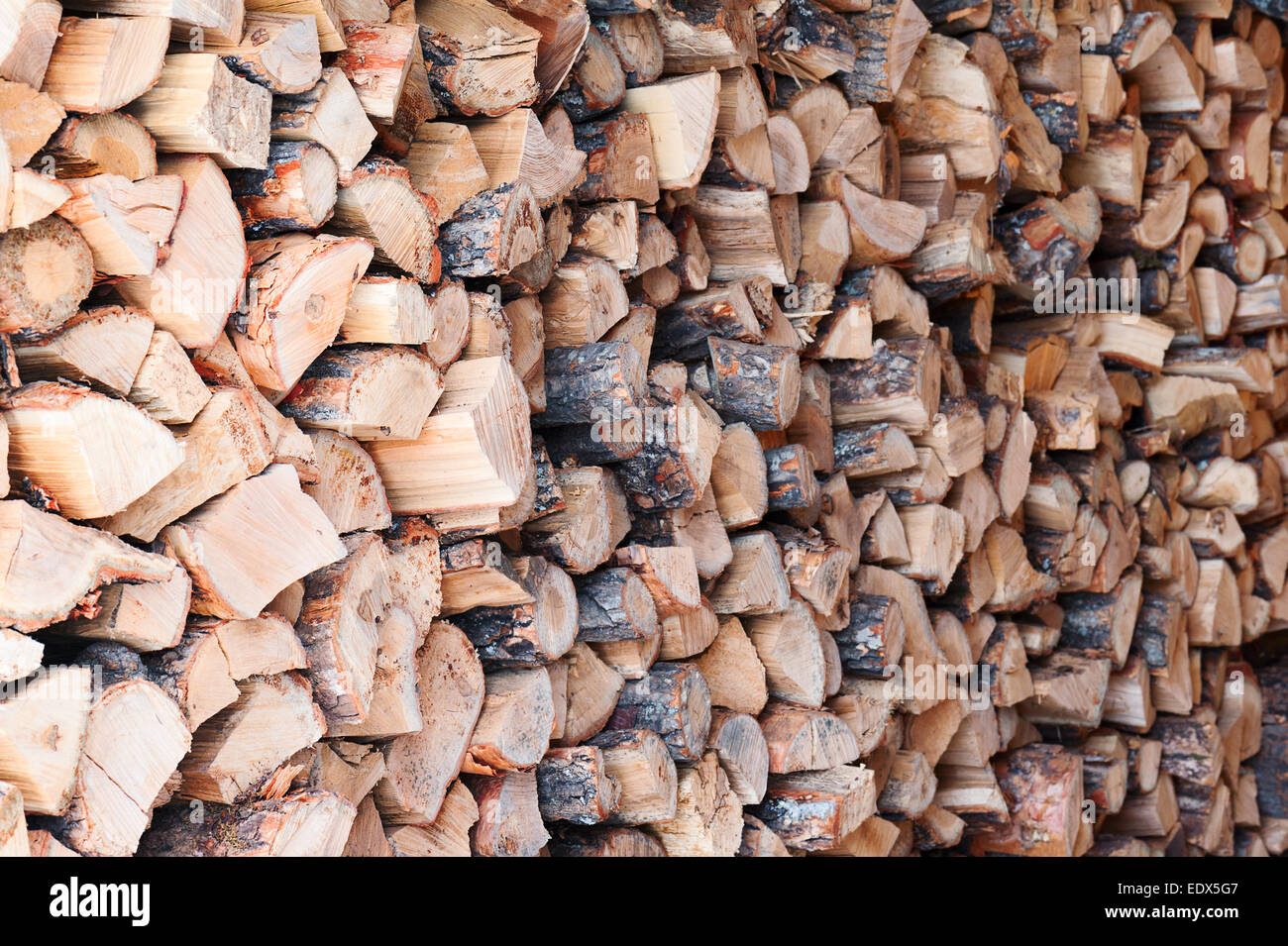 Oak Logs High Resolution Stock Photography and Images - Alamy