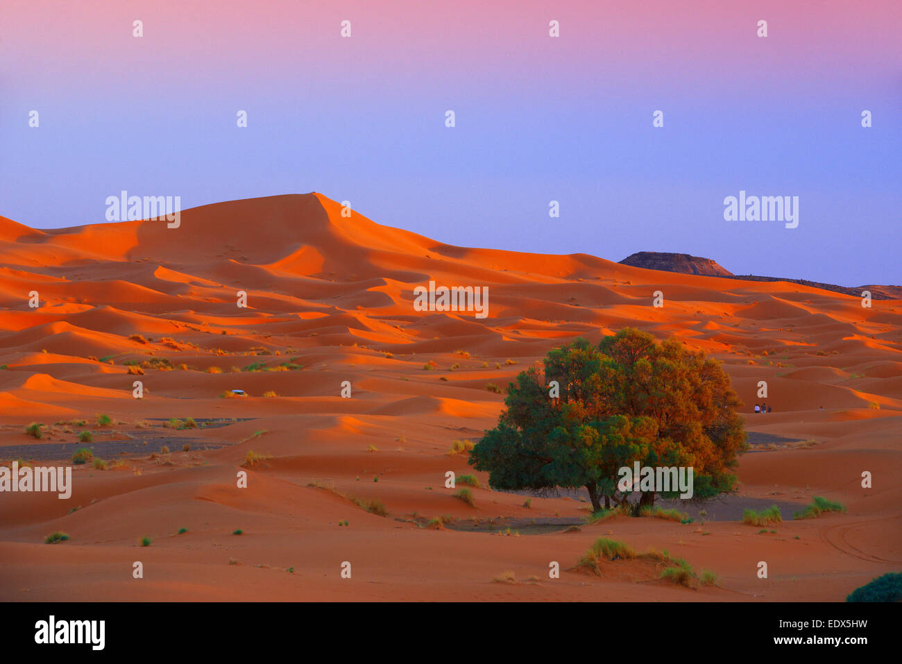 Merzouga, Erg Chebbi, Merzouga sand dunes, Sahara Desert, Morocco ...