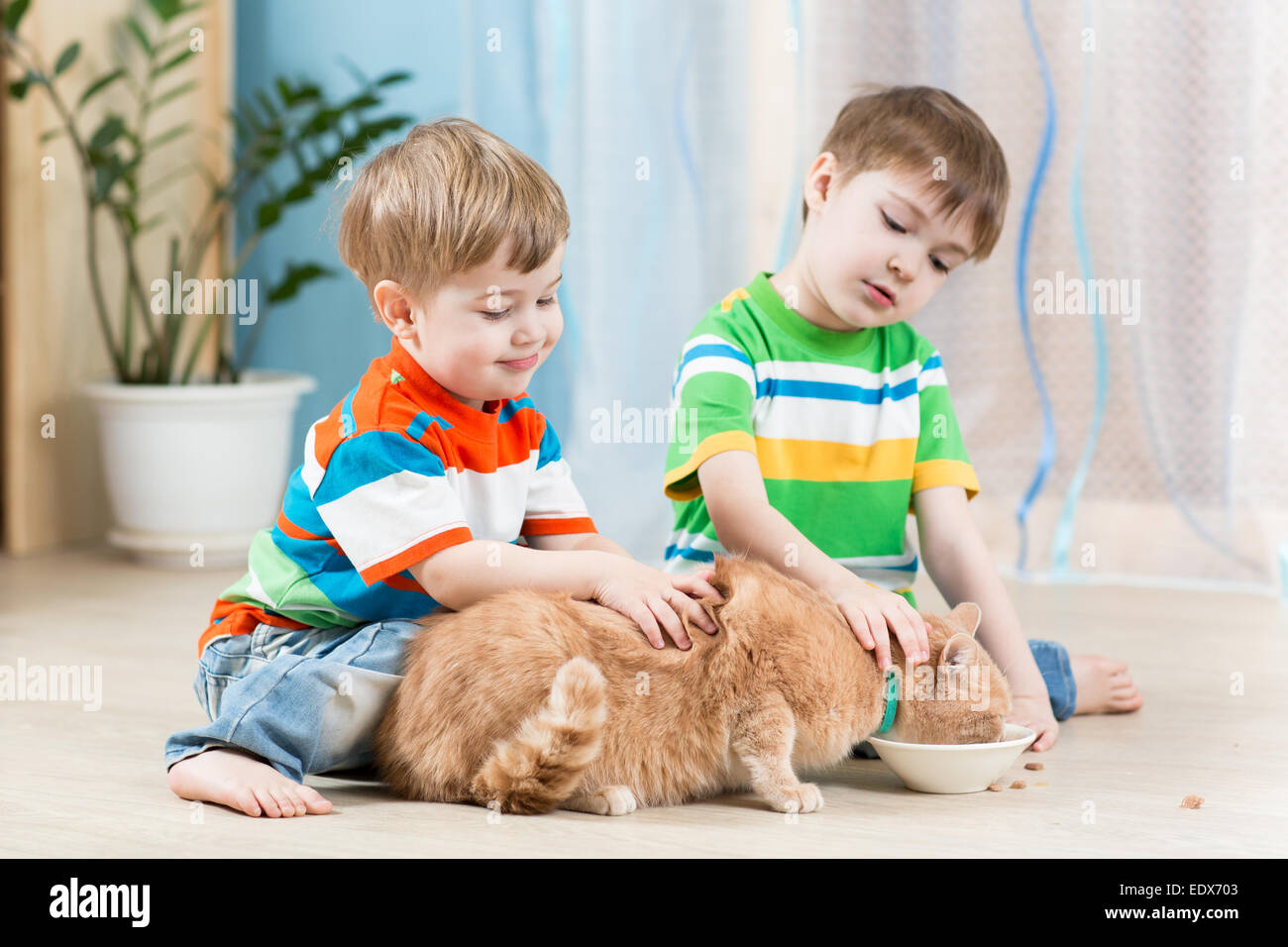 children boys feeding red cat Stock Photo - Alamy