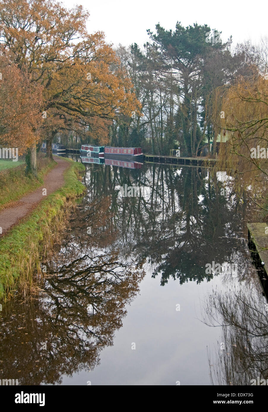 The Grand Western Canal near Halberton in Devon Stock Photo - Alamy
