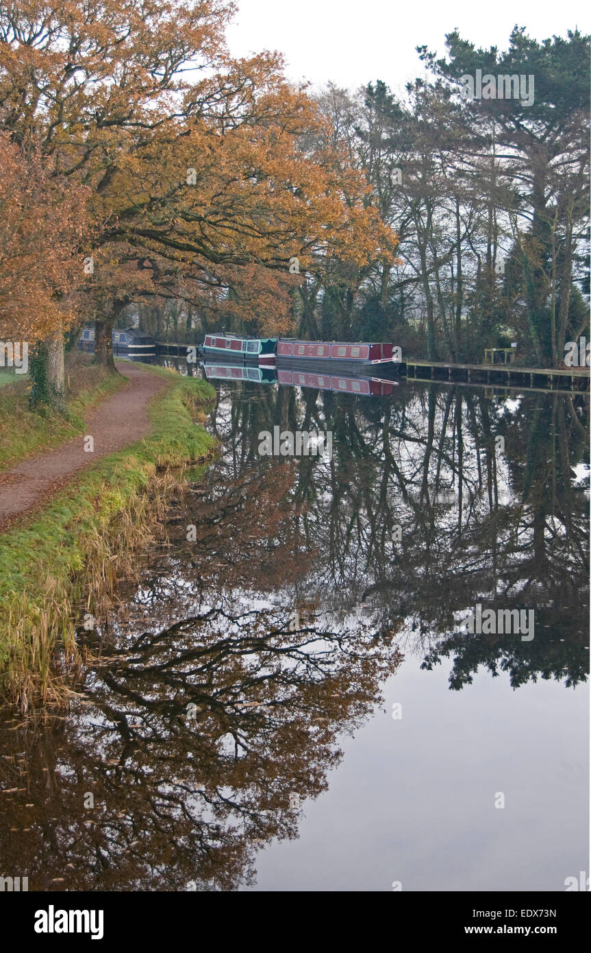 The Grand Western Canal near Halberton in Devon Stock Photo - Alamy