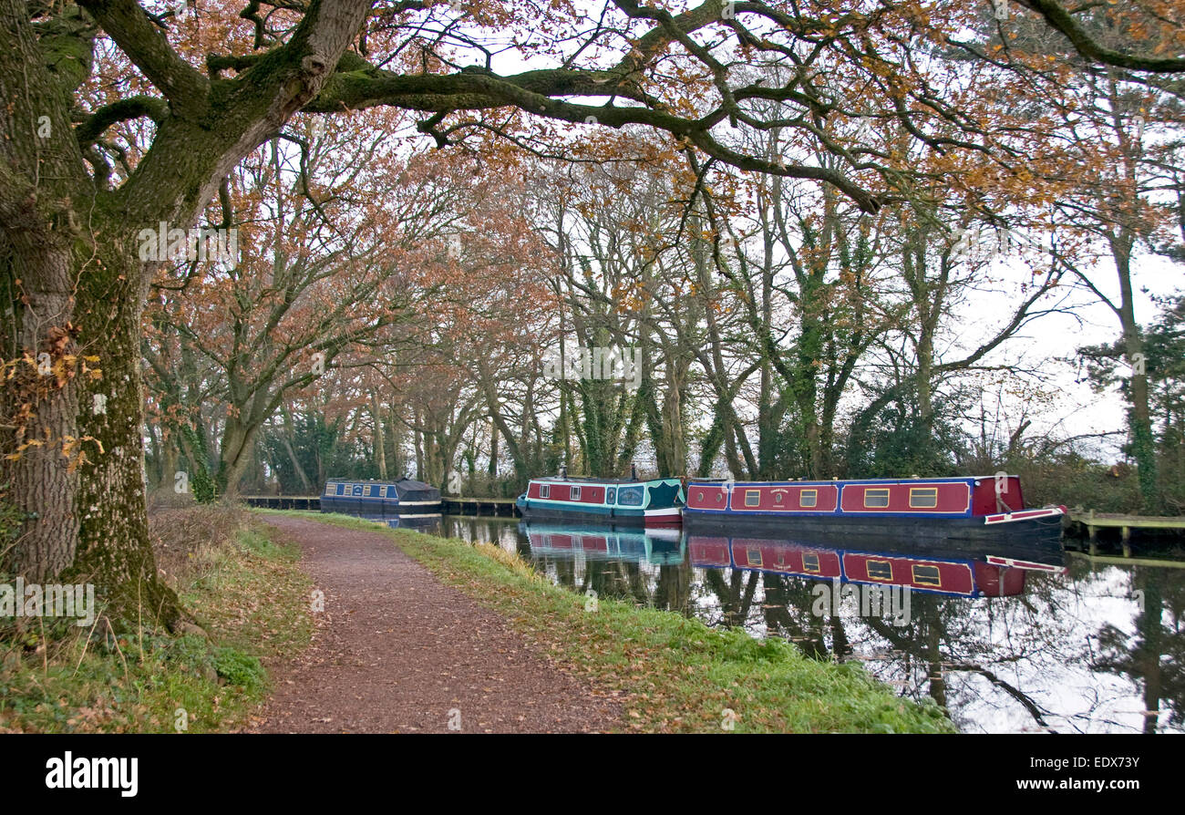 The Grand Western Canal near Halberton in Devon Stock Photo - Alamy