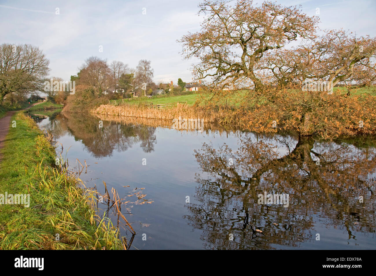 The Grand Western Canal near Halberton in Devon Stock Photo - Alamy