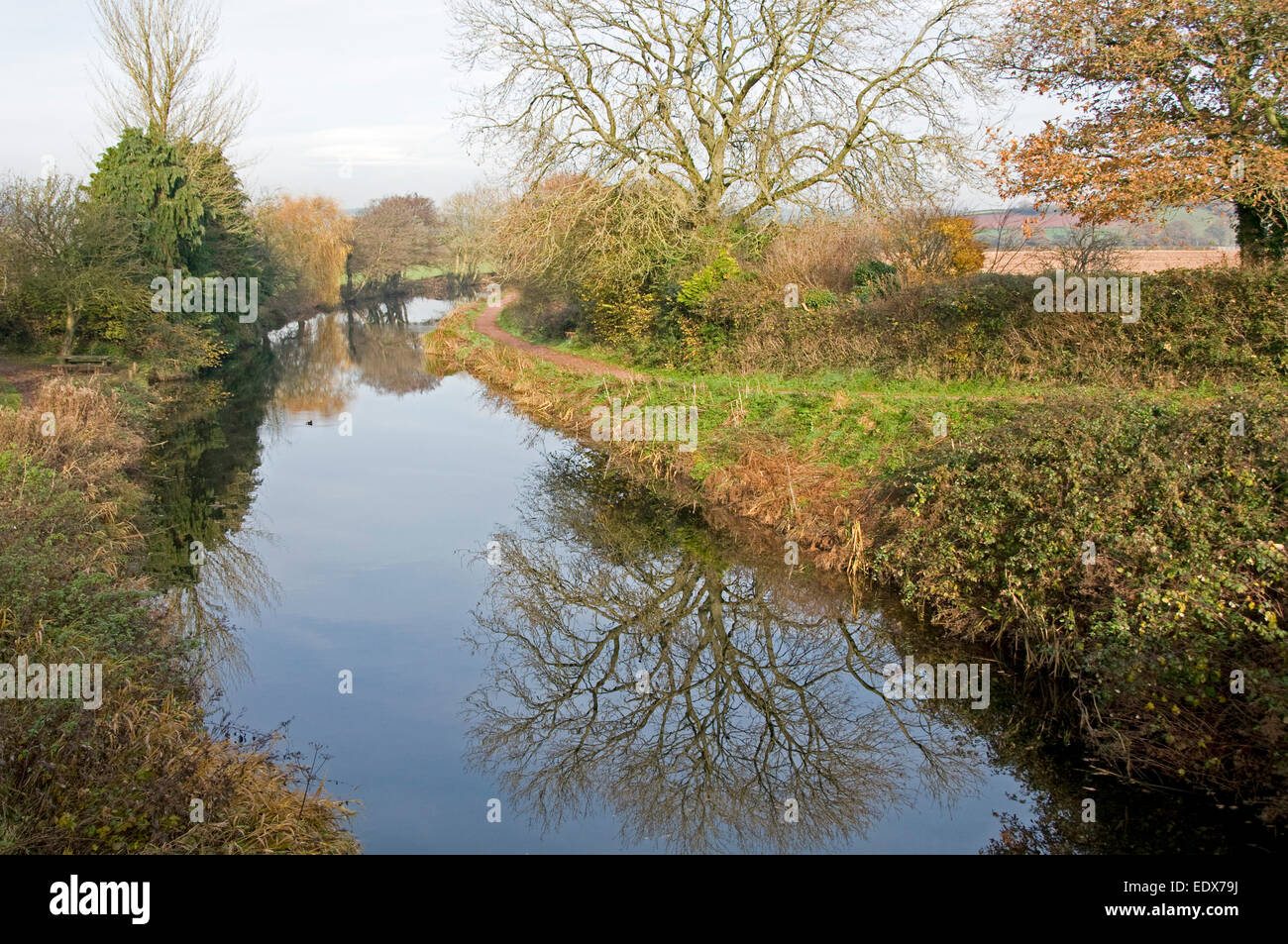 The Grand Western Canal near Halberton in Devon Stock Photo - Alamy