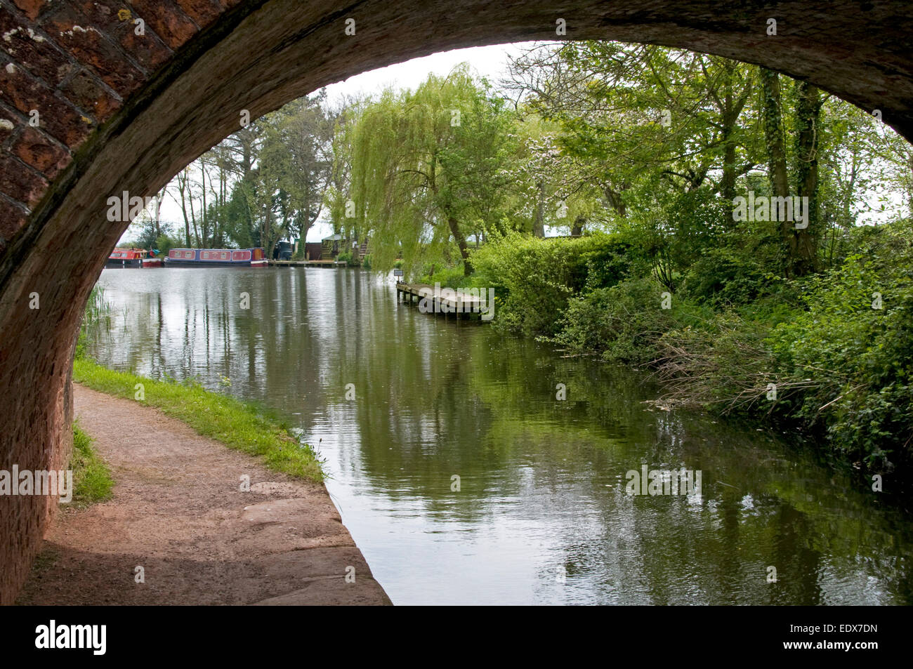 Halberton High Resolution Stock Photography and Images - Alamy